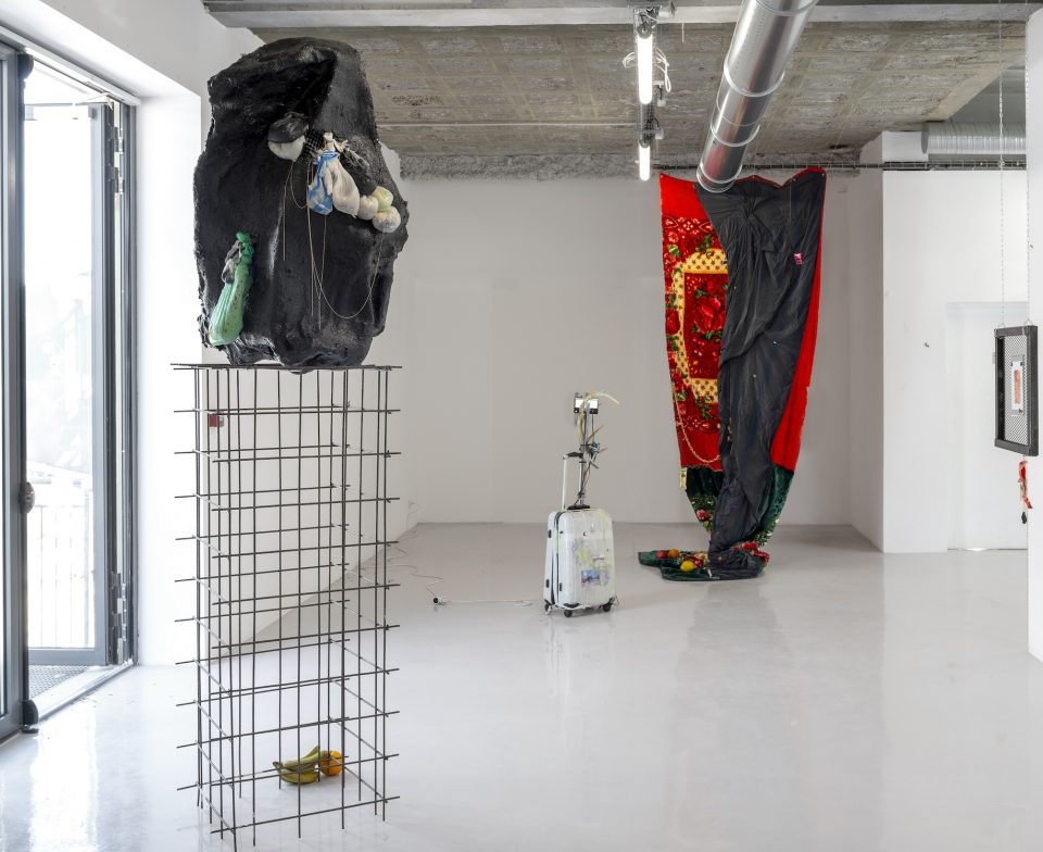 Gaëlle CHOISNE - ADIAF